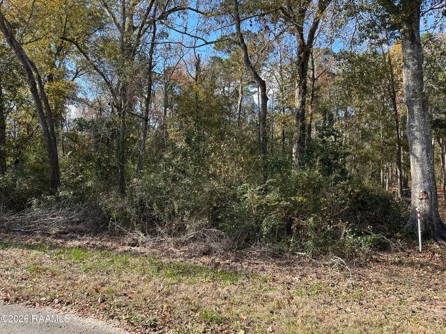 Hoffpauir Rd, Gueydan, LA 70542 | MLS #2500006