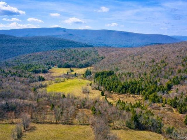 Hog Mtn, Fleischmanns, NY 12430