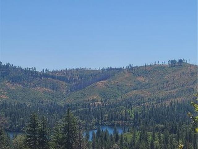 Hog Ranch Rd, Concow, CA 95965