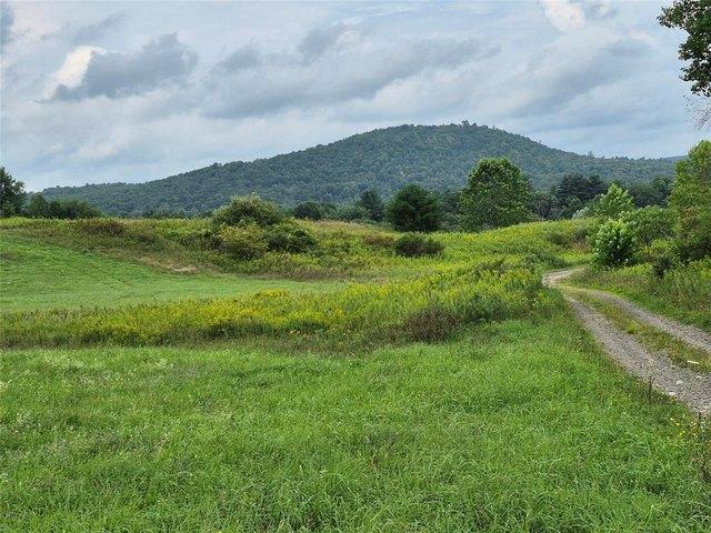 Hogsback Rd, Greene, NY 13778