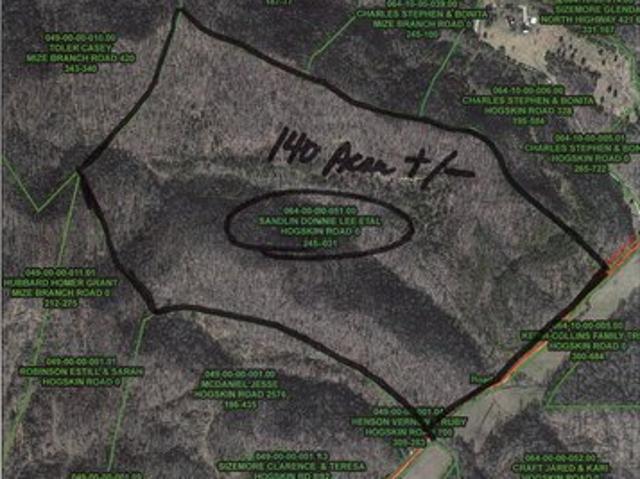 Hogskin Rd, Manchester, KY 40962