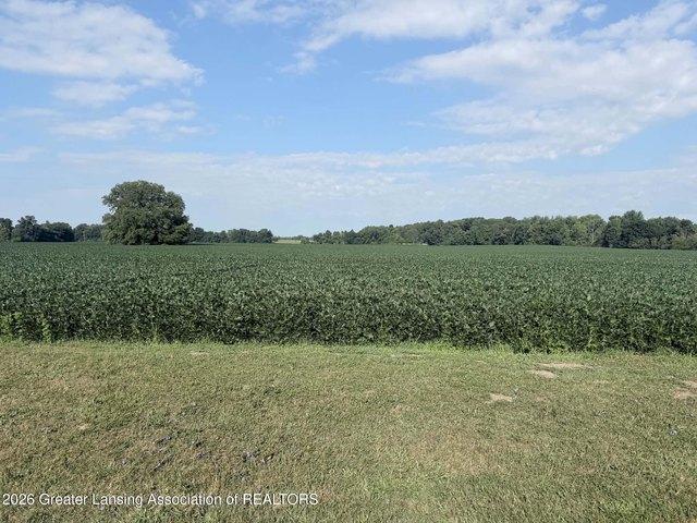 Holt Hwy Parcel A, Dimondale, MI 48821