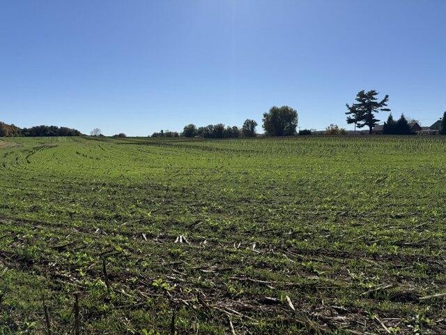 Holton Rd, Franklin, Plot For Sale