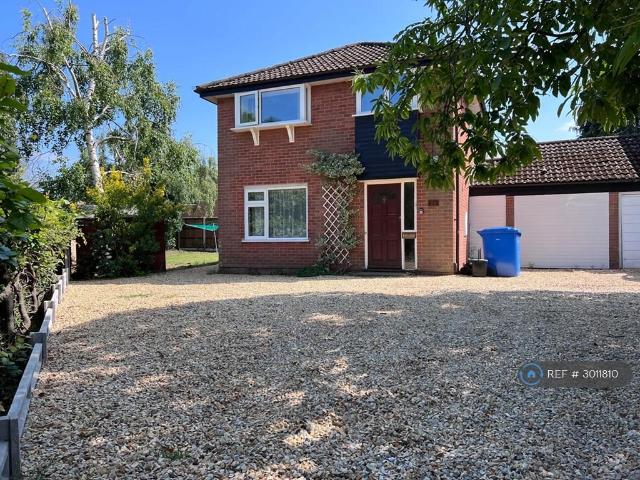Holworthy Road, Norwich, NR5 6 bed detached house to rent £3,016 pcm £696 pw