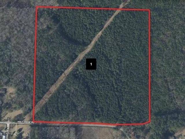 Holy Ridge Rd, Traskwood, AR 72167