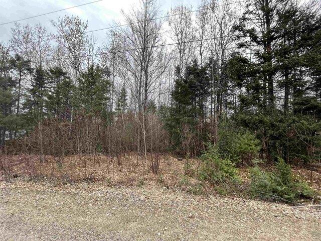 Holbrook Hill Rd Lot,stratford, Plot For Sale