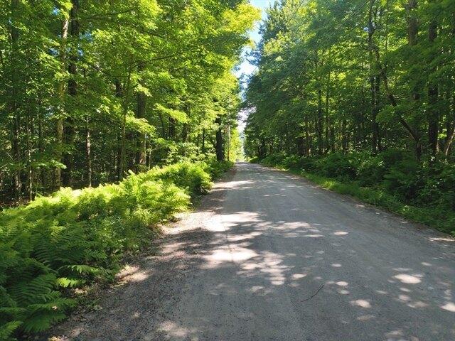 Holcomb Rd Lot,chester, Plot For Sale