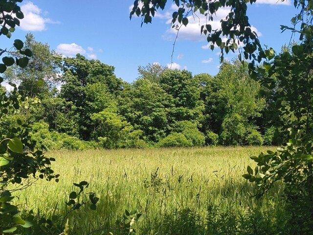 Holcomb Rd Lot,chester, Plot For Sale
