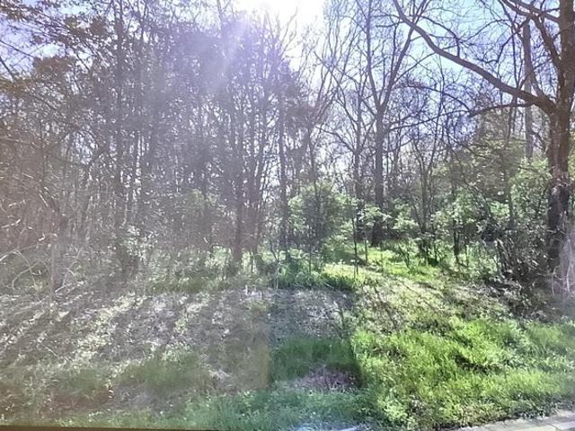 Holcomb Rd, Ringgold, GA 30736