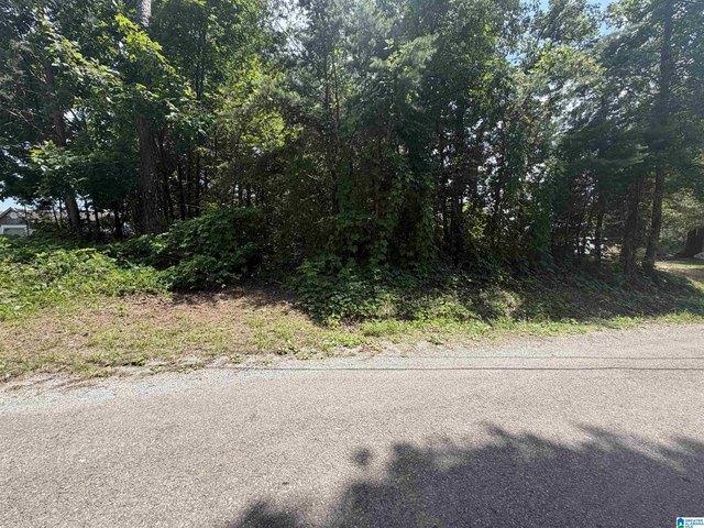 Holiday Dr Lot 6, Oneonta, AL 35121