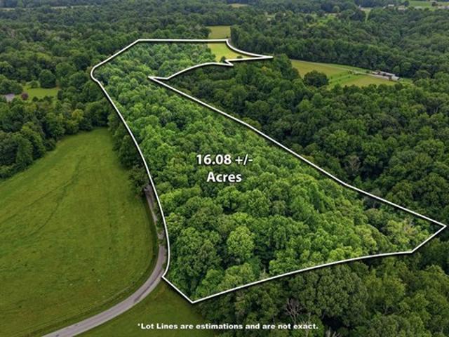 Holland Hl, Manchester, TN 37355