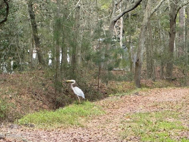 Holland Street, Pascagoula, MS 39581