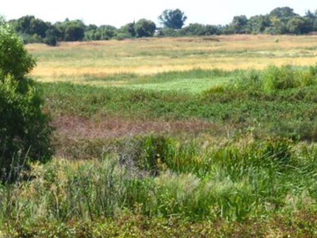 Holland Tract Rd, Knightsen, CA 94548