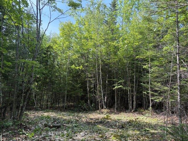 Holley Rd Lot,farmington, Plot For Sale