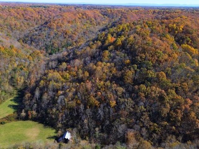 Hollis Creek Rd S, Woodbury, TN 37190