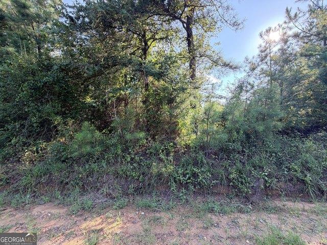Hollis Rd, Roberta, GA 31078