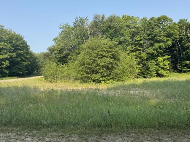 Hollow Dr, McMillan, MI 49853