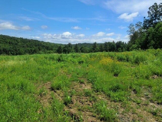 Hollow Rd, Monkton, Plot For Sale