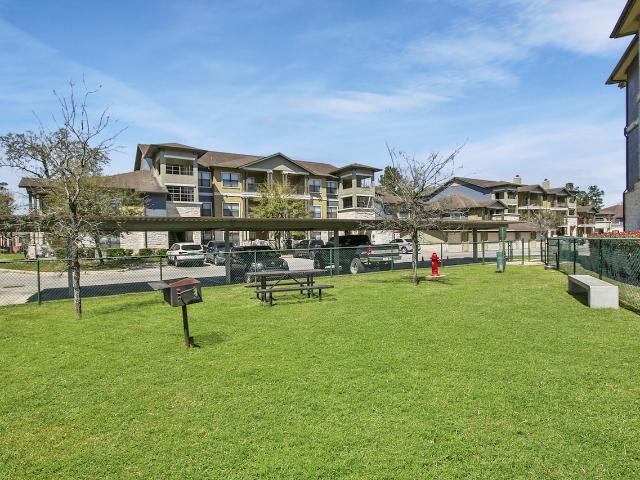 Hollow Tree Park 2 Bedroom Apartment for Rent at 101 Hollow Tree Ln, Houston, TX 77090