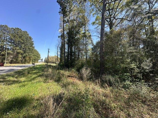 Holloway Rd Parcel B, Baker, FL 32531