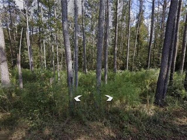Holly Tract Rd # 3, Bowdon, GA 30108