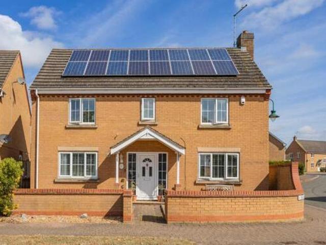 Holly Walk, Hampton Hargate, 4 Bedroom Detached