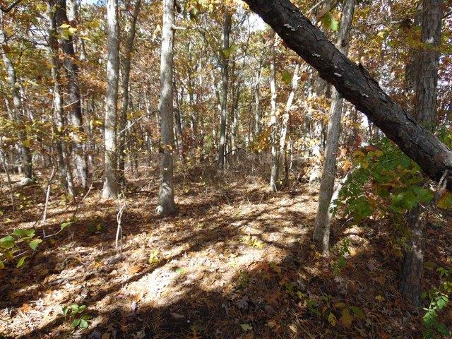 Holly Ave, Galloway Township, NJ 08205