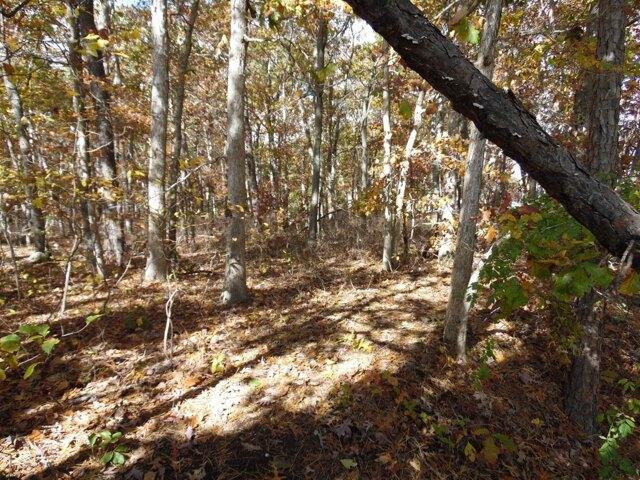 Holly Ave, Galloway Township, Plot For Sale