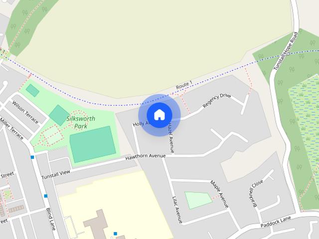 Holly Avenue, Sunderland