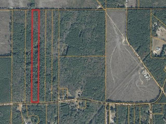 Holly Bush Rd, Pelahatchie, MS 39145
