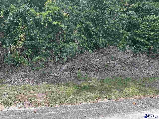 Holly Cir, Darlington, SC 29532