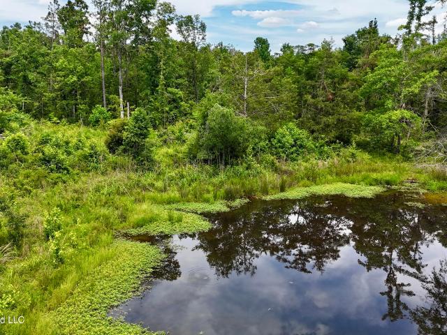 Holly Grove meeks Road, Cruger, MS 38924