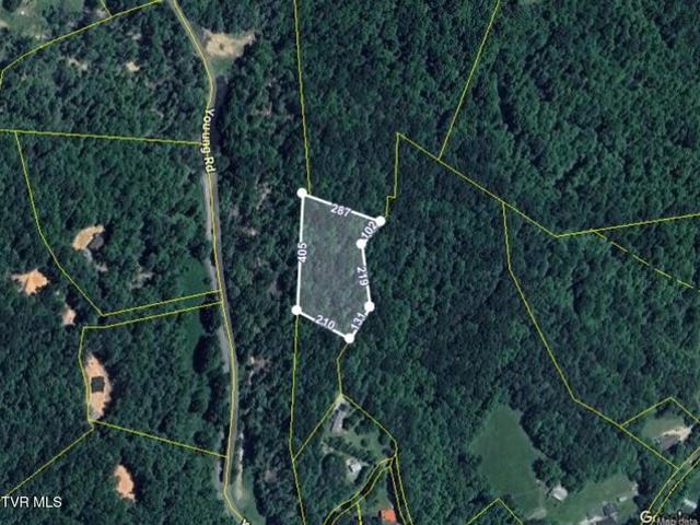 Holly Hill Dr, Unicoi, TN 37692