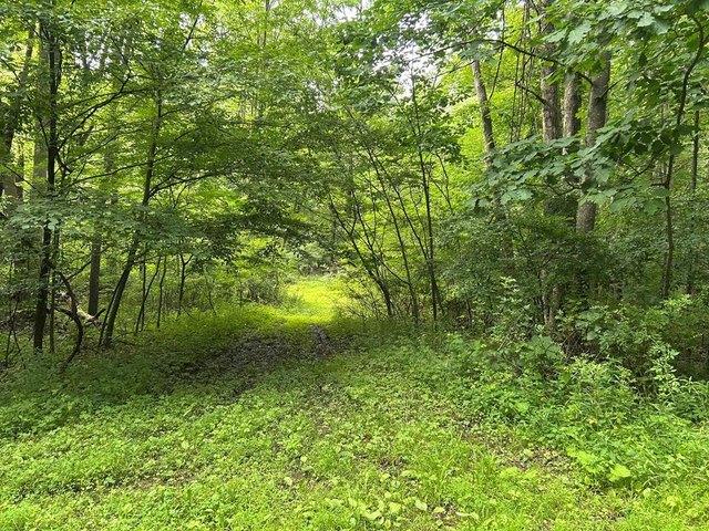 Holly Hill Rd, Rimersburg, PA 16248
