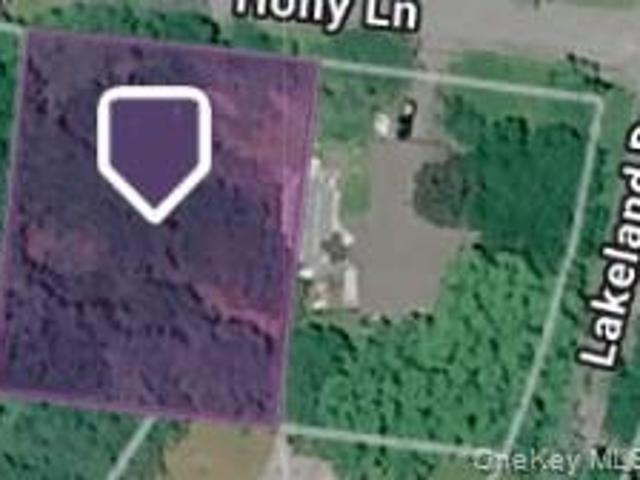 Holly Lane