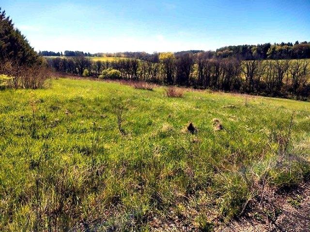Holly Ln Lot 13, Belleville, WI 53508