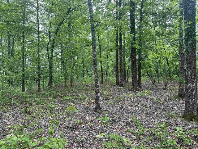 Holly Mtn Rd, Clinton, AR 72031