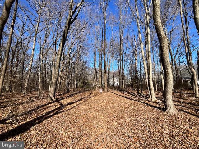 Holly Neck Road