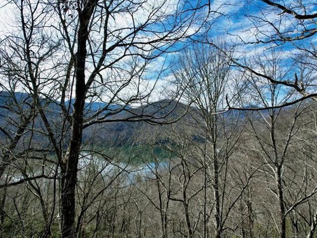 Holly Ridge Rd Lot 14, Topton, NC 28781