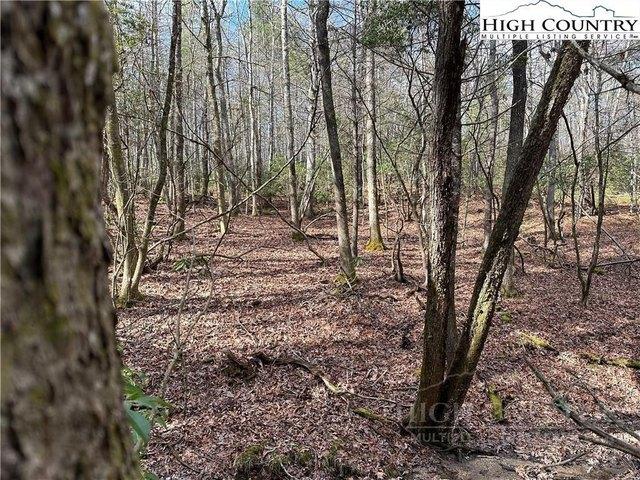 Holly Run Lot 23, Glade Valley, NC 28627