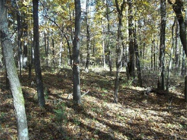 Holly Springs, MS Marshall Country Land 38.000000 acre for sale in Buxton, Mississippi