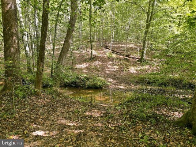 Holly Springs Road