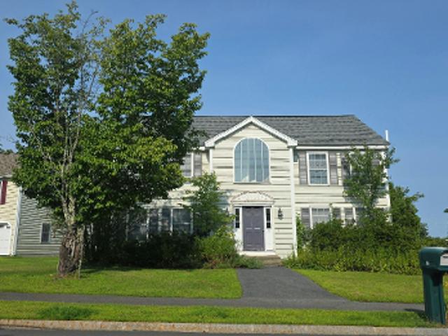 Hollyhock Ave