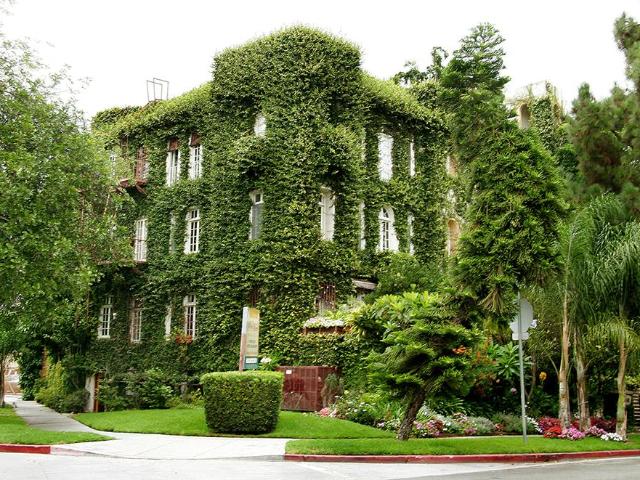 Hollywood CA 90028 59830641