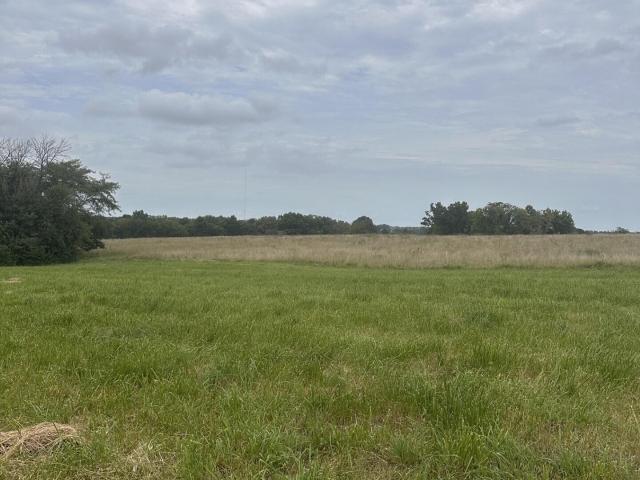 Holman st, clifton hill, mo 65244