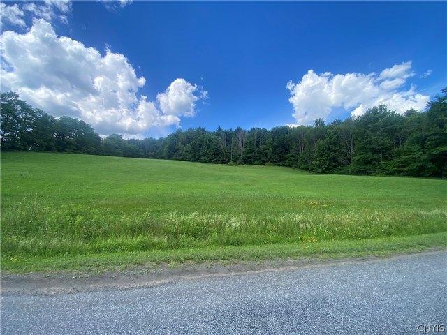 Holmesville Rd, New Berlin, NY 13843