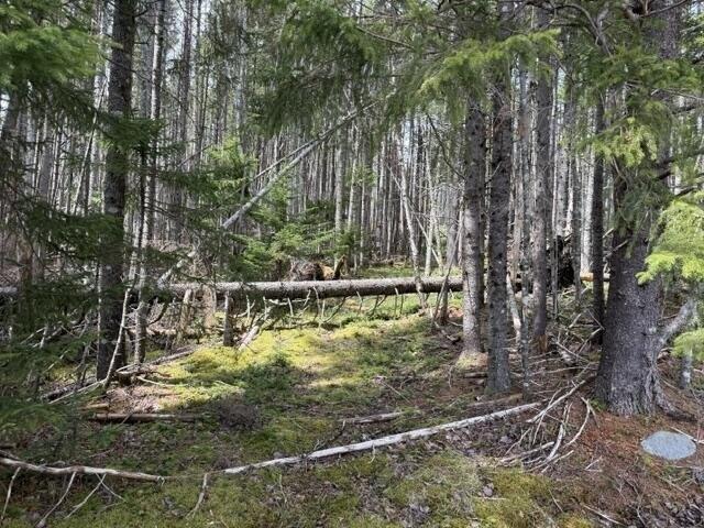 Holmes Bay Farms Rd Lot,whiting, Plot For Sale