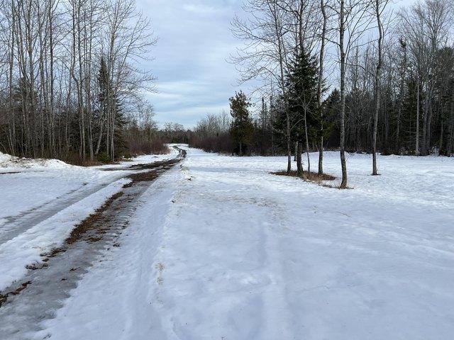 Holmes Dr, Bucksport, ME 04416