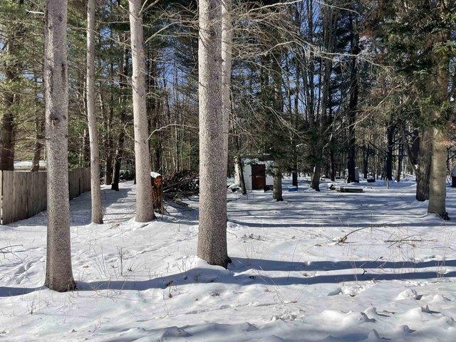 Holmes Rd Lot 33, Lake George, MI 48633