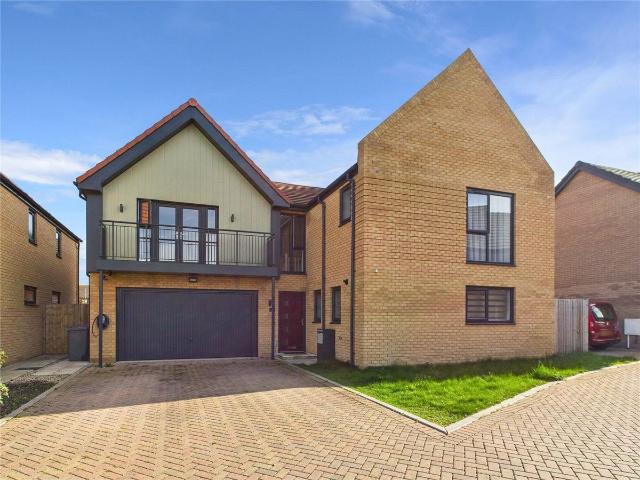 Holmhill Drive, Felixstowe, Suffolk IP11, 4 bed detached house to rent, £2,450 pcm | PrimeLocation